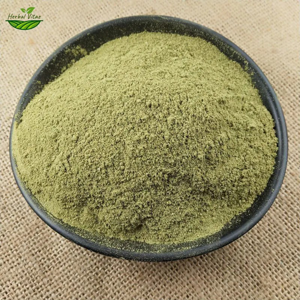 Chinese Arborvitae Twig & Leaf Powder (Platycladus Orientalis) Bulk ...